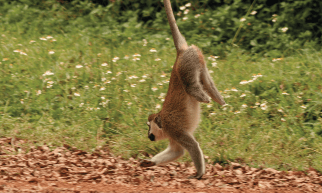 Your Evolving Rights To Flexibility At Work - Law Express