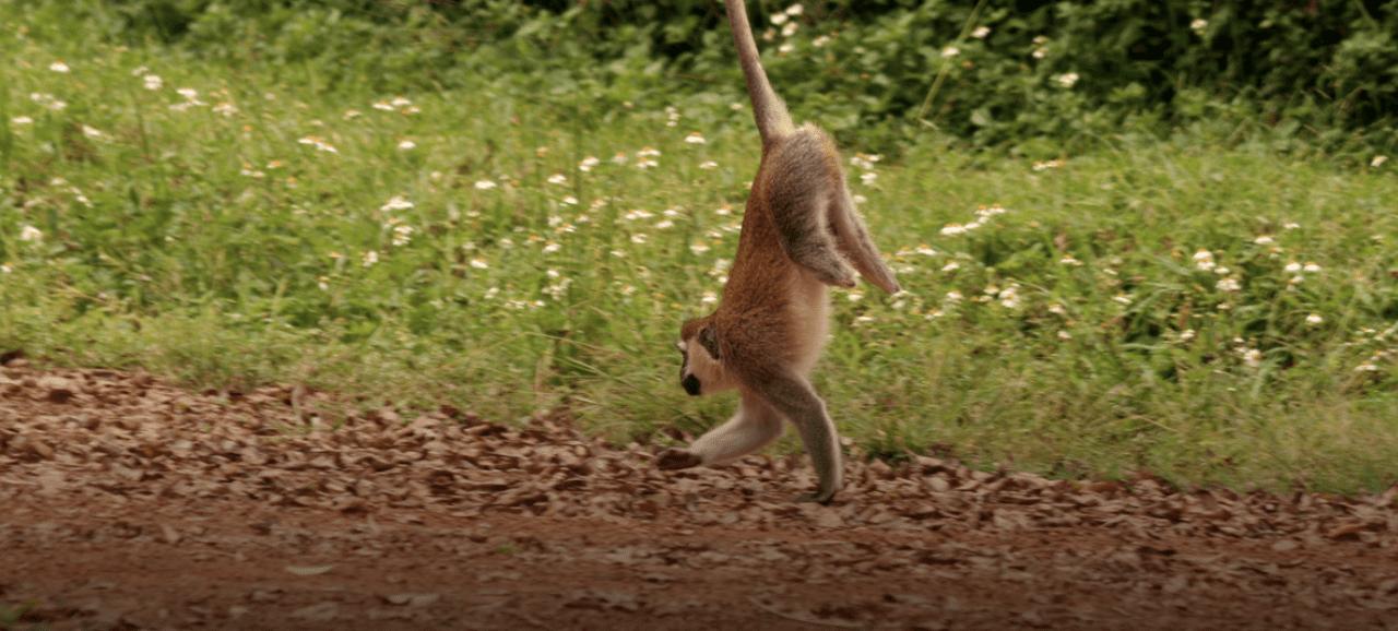 Your Evolving Rights To Flexibility At Work | Law Express